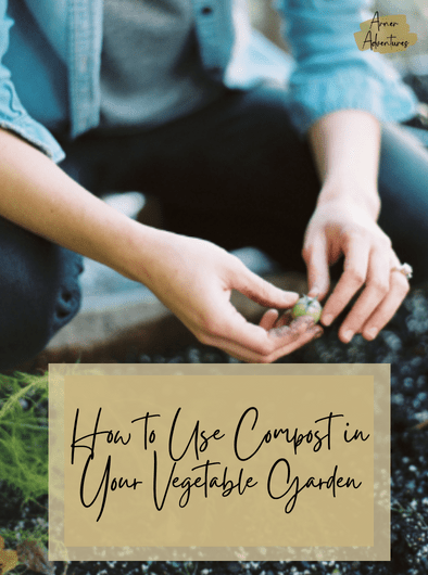 How to Use Compost in Your Vegetable Garden