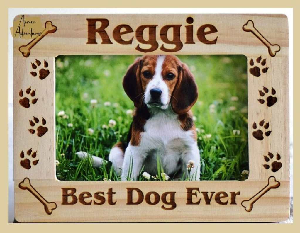 12 Best Pet Grief Gifts: Sympathy Gift for Loss of Dog or Cat