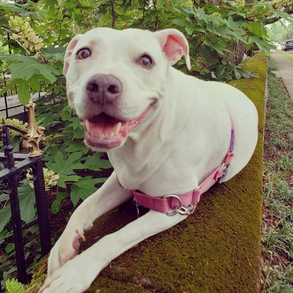 Why It's Okay to Be a DINK | Double Income No Kids