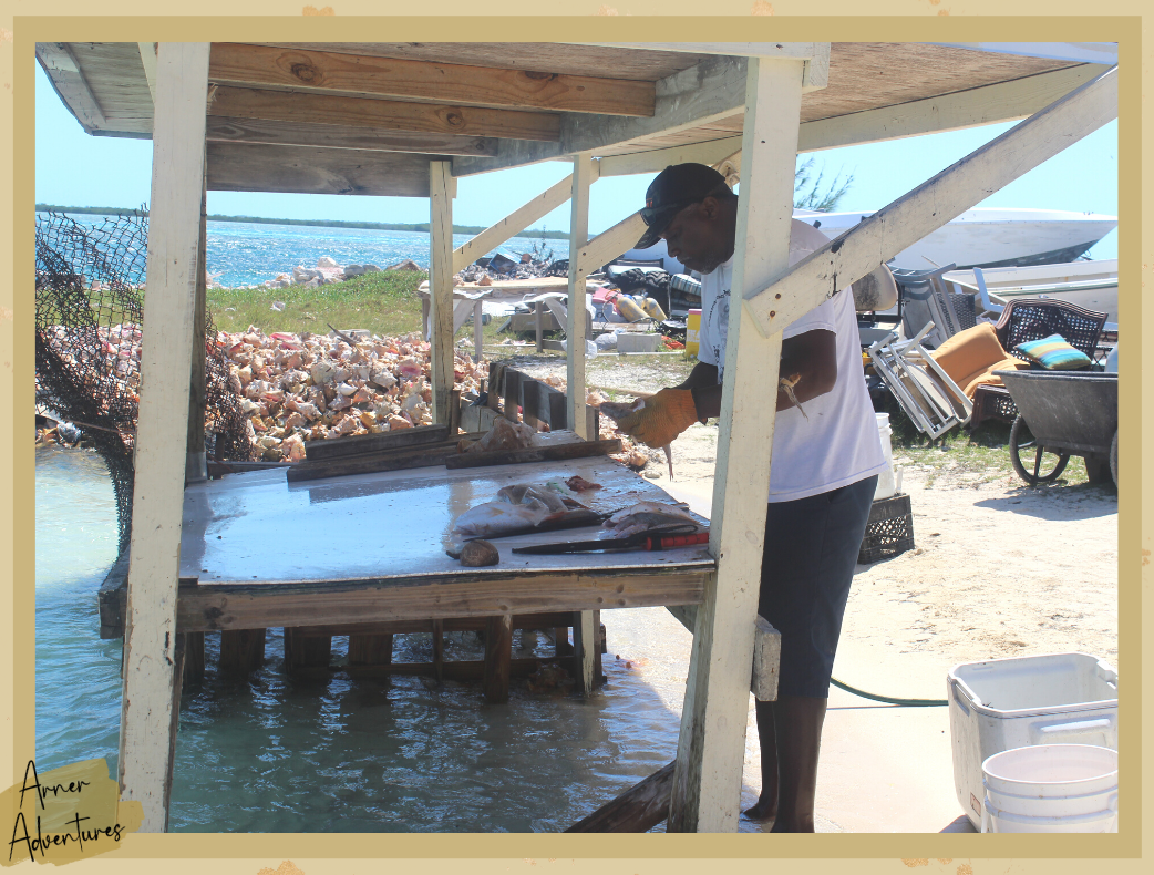 The Top Things to Do During Your Trip To Bimini