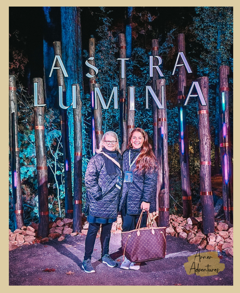 An EPIC ADVENTURE at Astra Lumina | Guide to Anakeesta in Gatlinburg