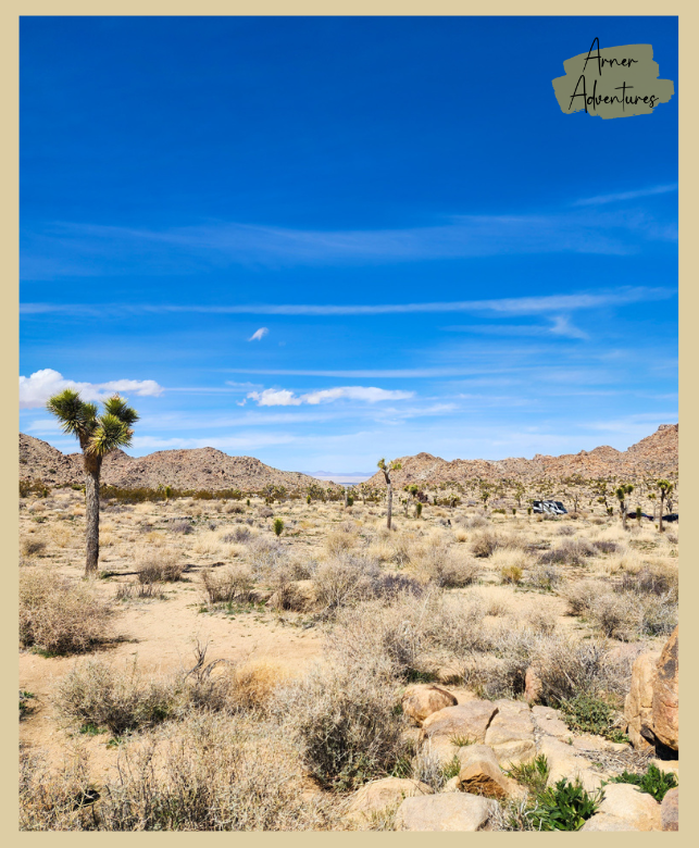 Hiking at Joshua Tree- Simple Guide to Explore the Bucketlist Trails