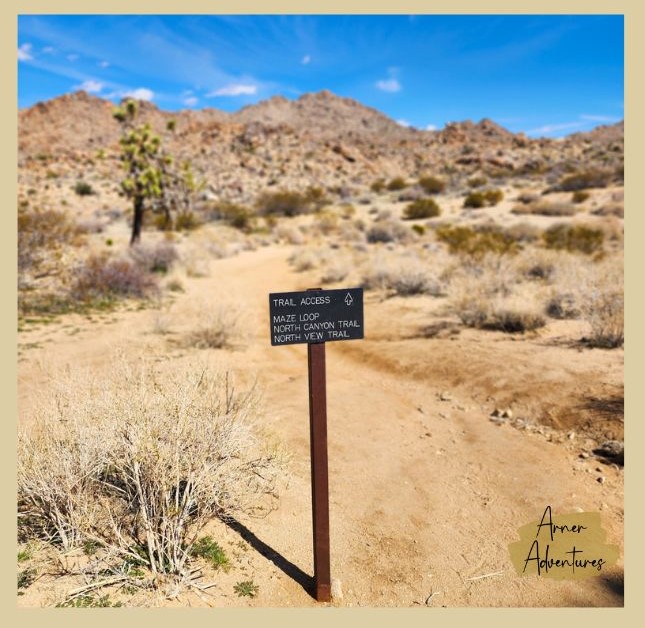 Hiking at Joshua Tree- Simple Guide to Explore the Bucketlist Trails