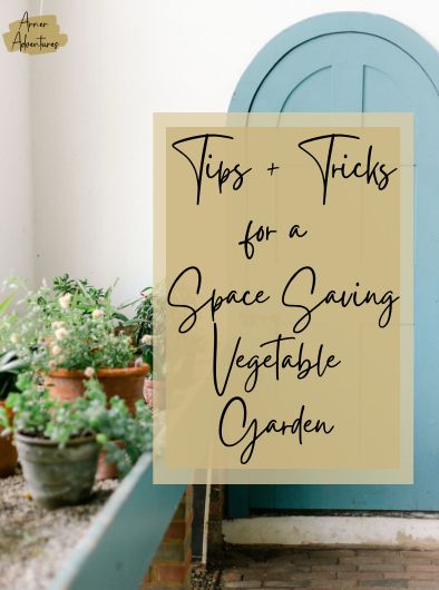 Tips + Tricks for Space Saving Vegetable Garden- The Best Ideas!