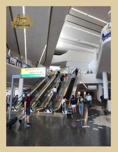IdentoGO: Unlock Travel Secrets of the TSA PreCheck Process