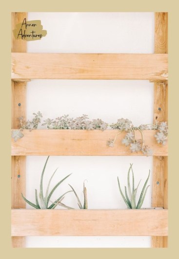 The Fiery Secrets of Your Pitta Body Type: Ayurvedic Pitta Dosha