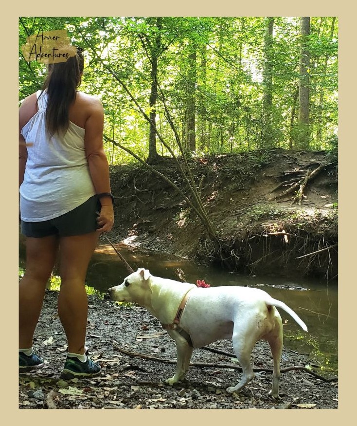 Unlocking Serenity: The Ultimate Guide to Wellness at Home