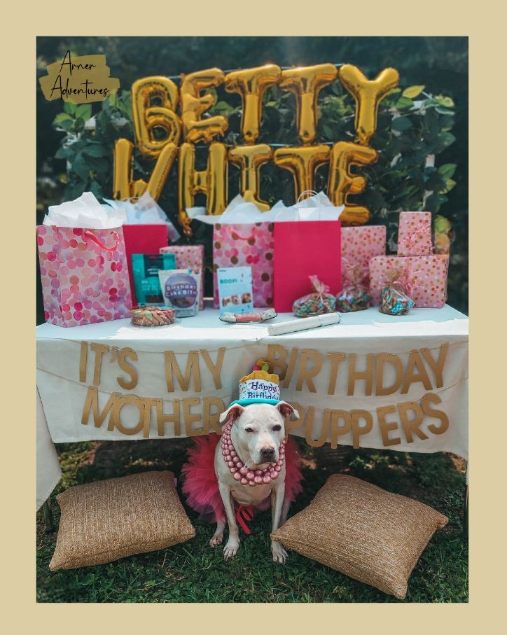 Betty White's Rainbow Adventures- The Best Dog Bucket List