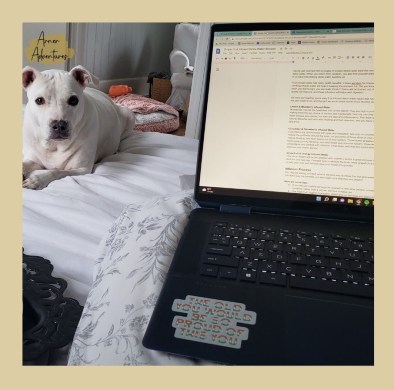 Top 19 Productive Things To Do On the Computer or Laptop (2026)