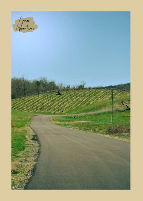 Top 13 Best Wineries in North Carolina You Must Visit (2026)