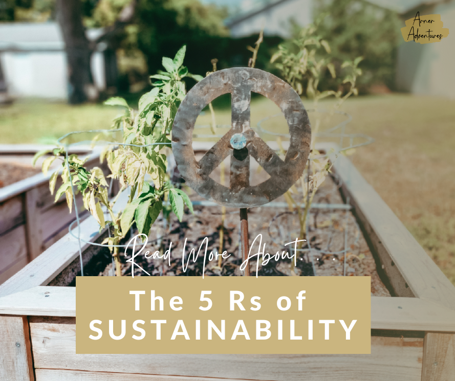 Composting vs Recycling- Is One Better Than the Other?