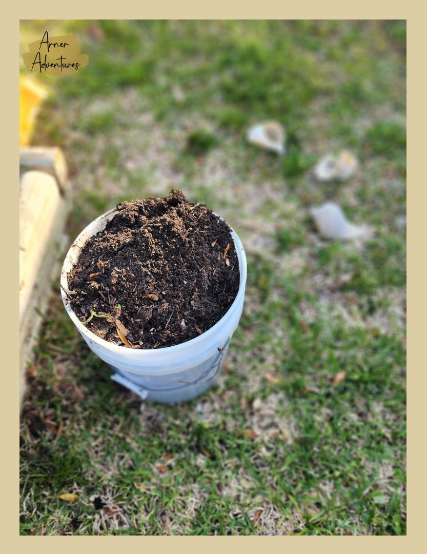 Composting vs Recycling- Is One Better Than the Other?