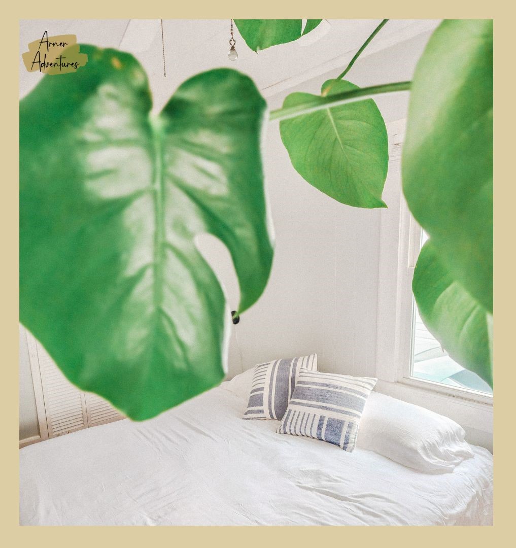 How to Organize Your Room: A Simple Guide to Love Your Space