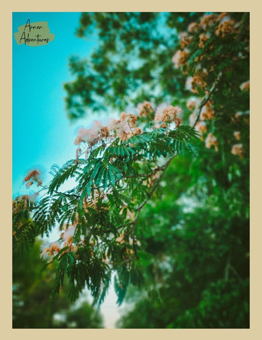 The Best Morning Routine Checklist: Start Your Day Off Right