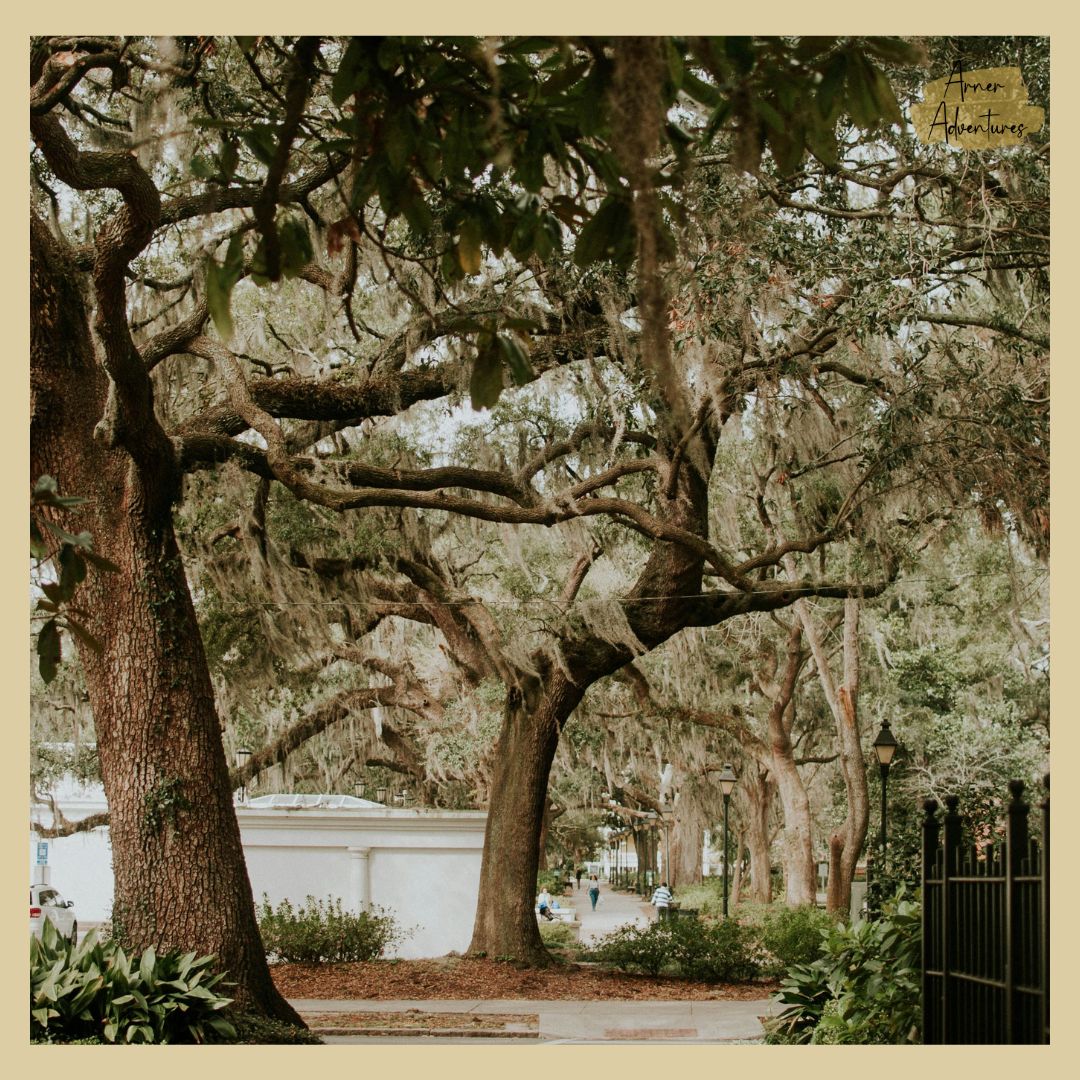 Free Things to Do in Savannah (2026): 10+ Budget-Friendly Activities ...
