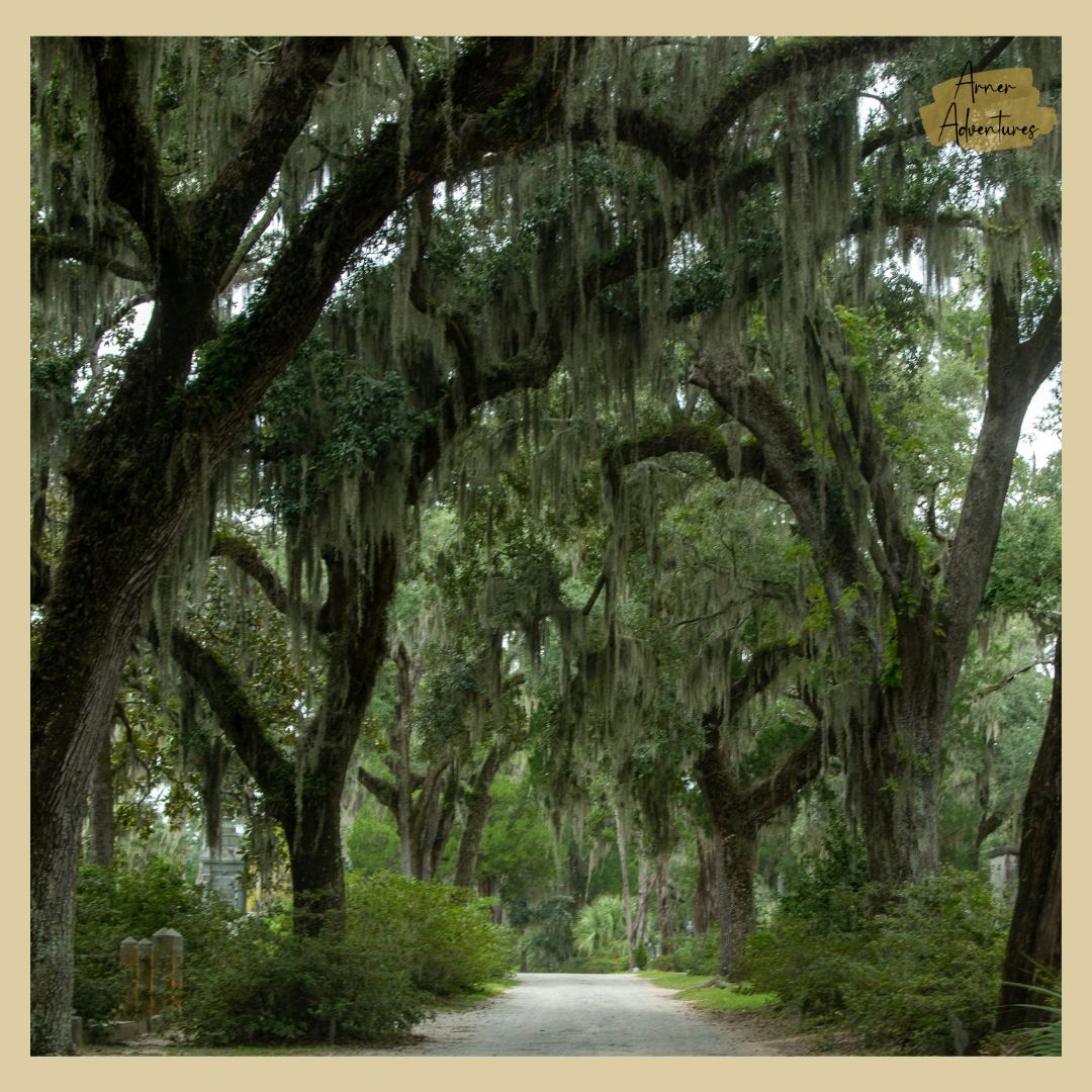 Free Things to Do in Savannah (2026): 10+ Budget-Friendly Activities ...
