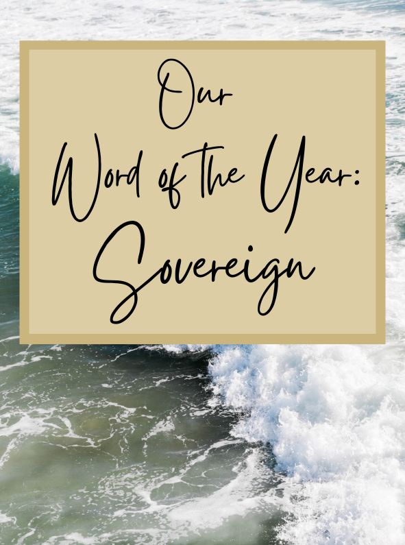 Sovereign – Our Word of the Year 2025