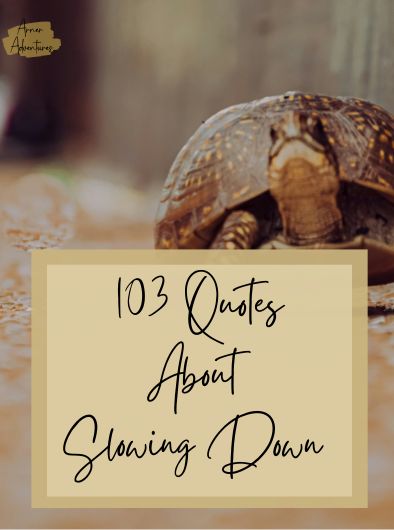 103 Quotes About Slowing Down to Inspire Slow Living