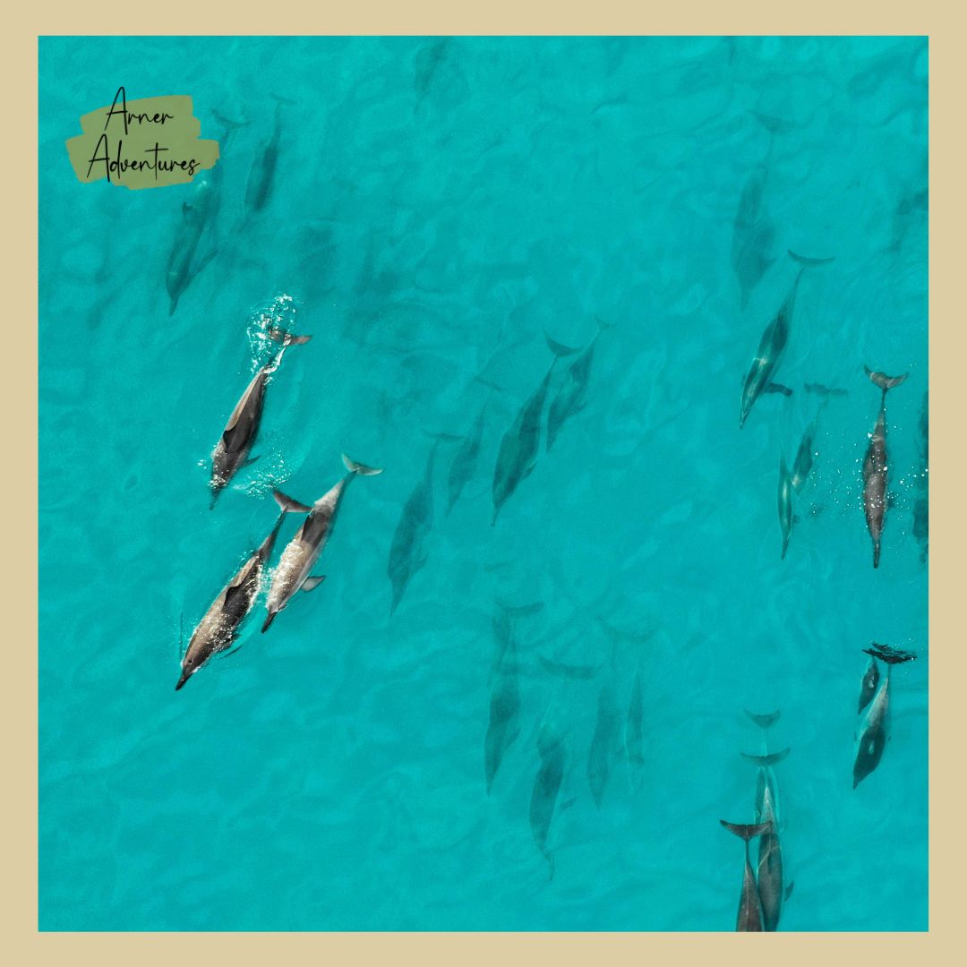 Things Made of Plastic (That Just Might Surprise You) | Arner Adventures